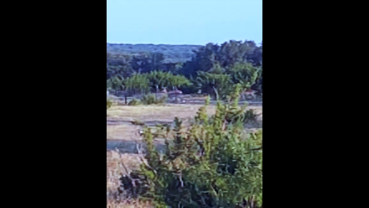 Baker 3 Ranch (Big Bucks) - YouTube