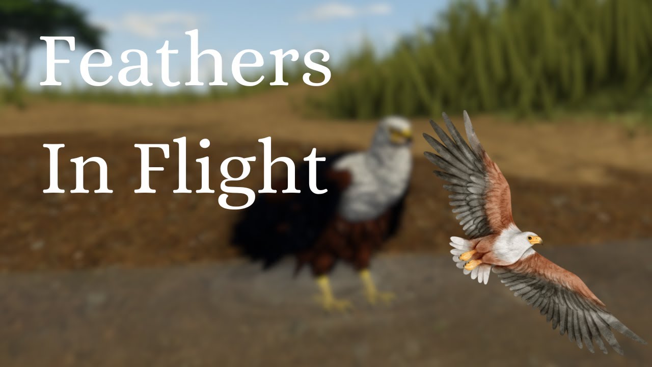 Feathers in Flight - Short Film (Artl3y Documentaries) - YouTube