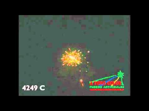 4249C Show 100t. x3/4´´ Peony surtida trazante. silbido y bomba 41 ...