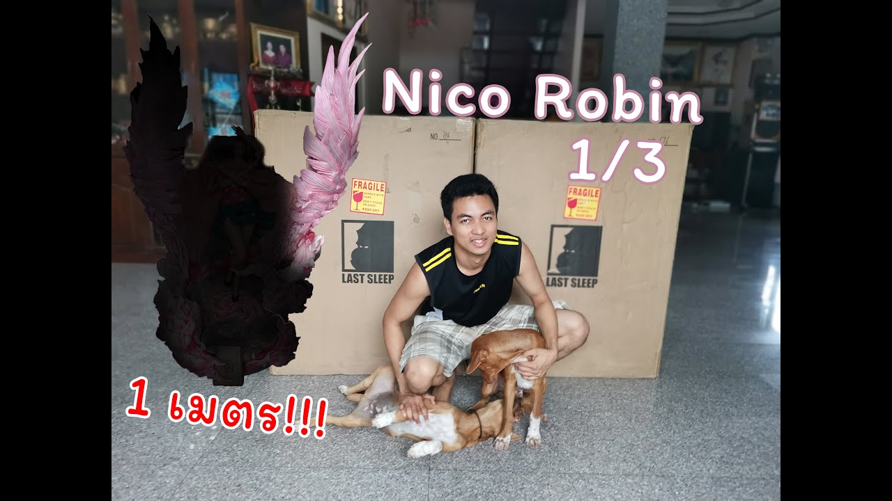 งานเรซิ่นตัวใหญ่ไปนะ โรบิ้น - Robin last sleep 1/3 - YouTube