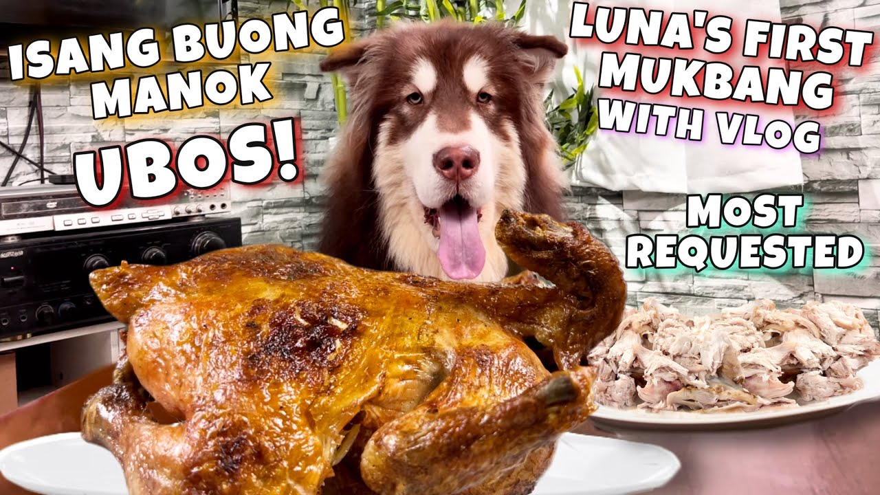 LUNA’S FIRST MUKBANG with Vlog 1 WHOLE LECHON MANOK UBOS LAHAT MUKBANG ...