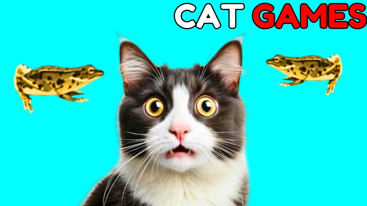 FROG Chase: 8 Hours of Cat-Only Fun! 🐾\ - YouTube