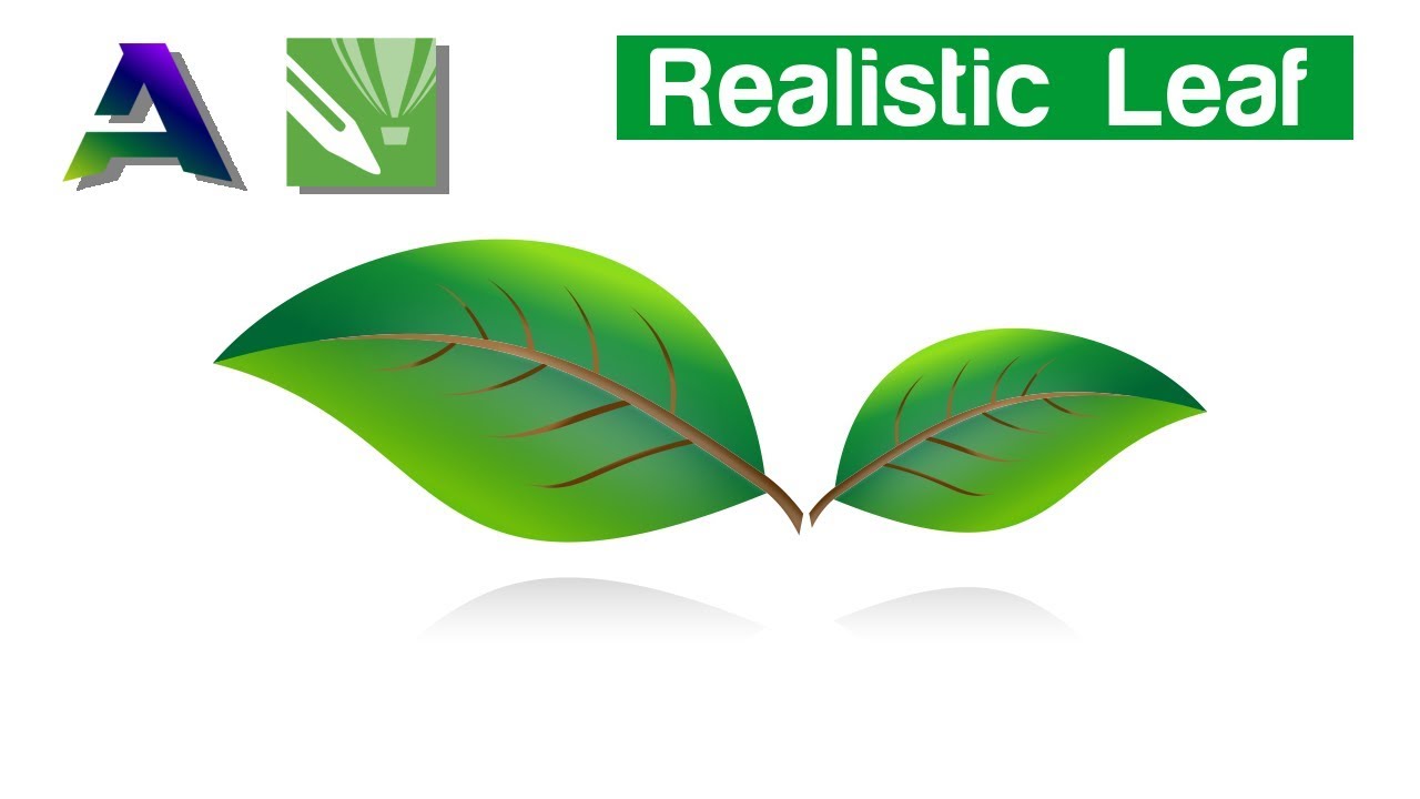Tutorial Coreldraw | Realistic Leaf Design - YouTube