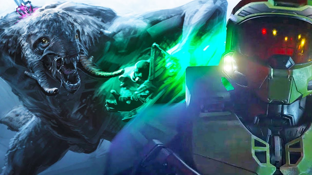 Wildlife in Halo Infinite - YouTube