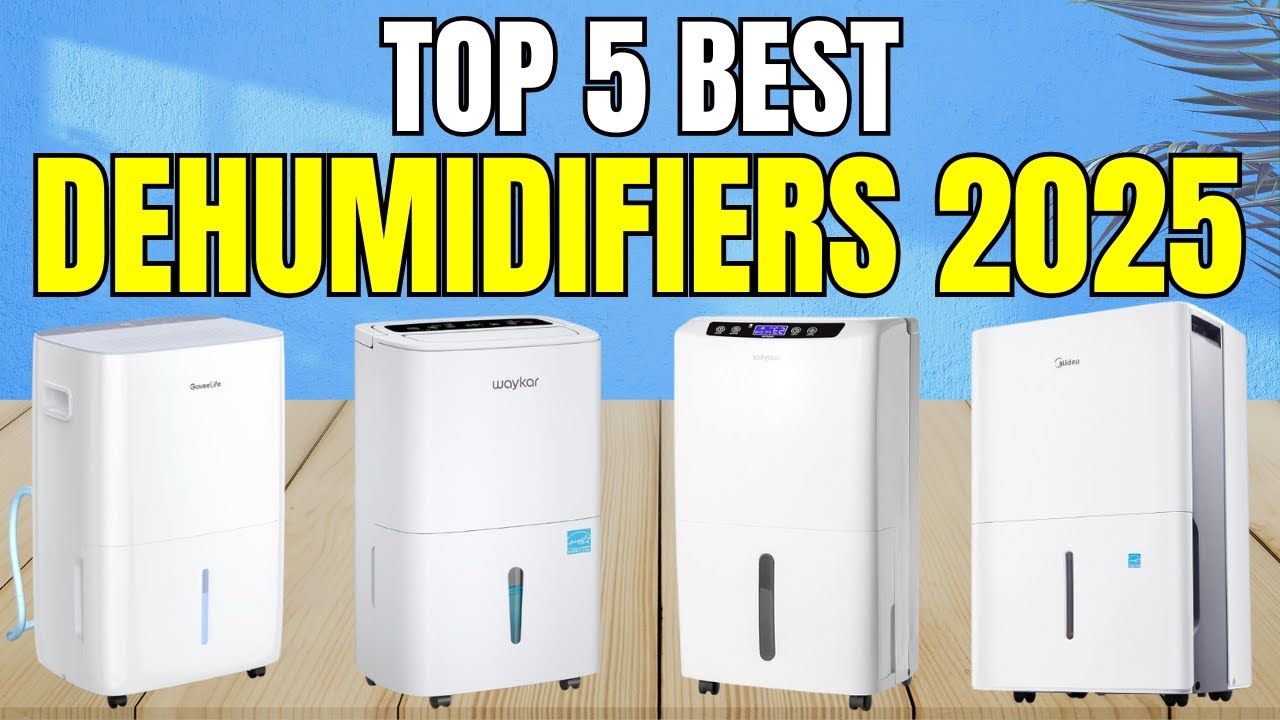 Best Dehumidifiers 2025 – Must Watch Before You Buy One! - YouTube