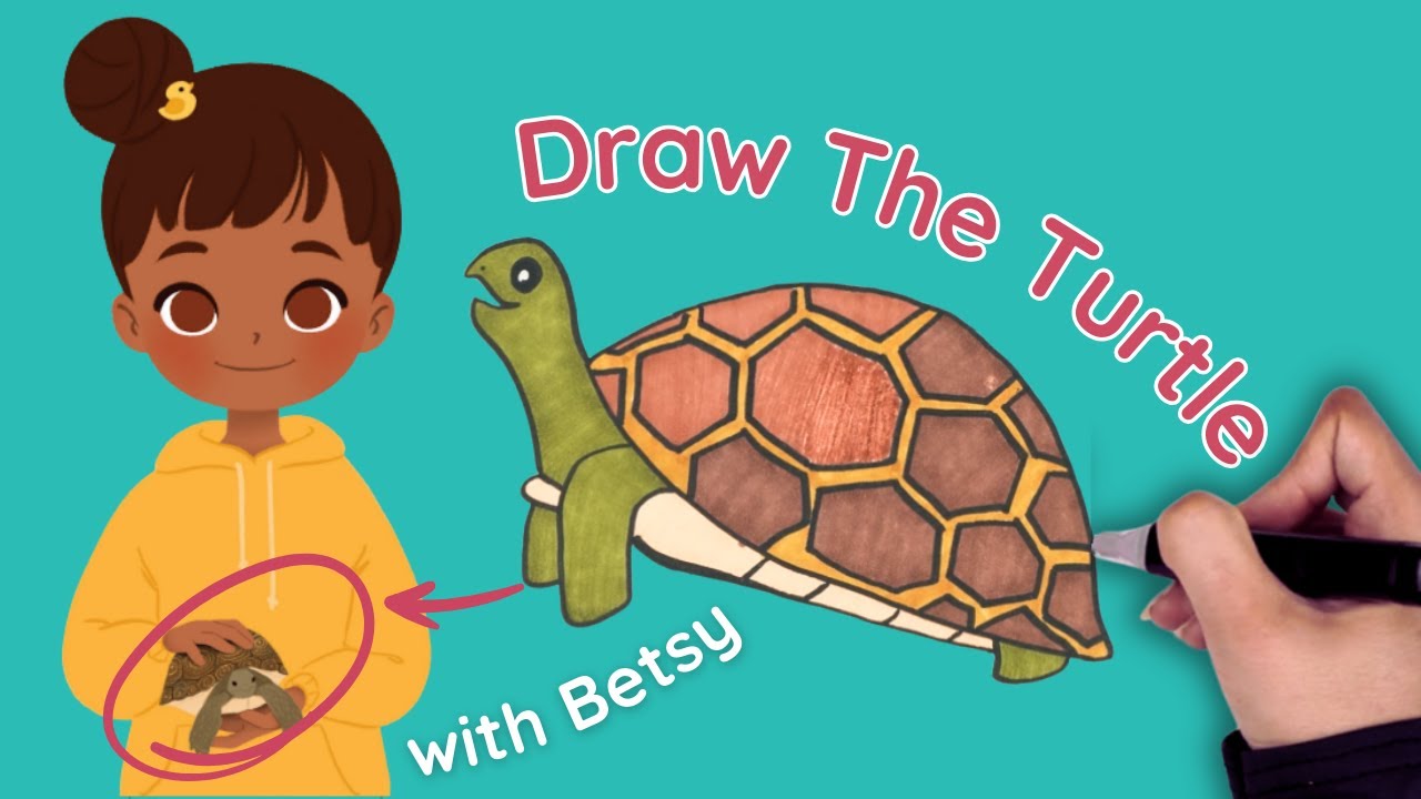 Draw a Cute Turtle from Gratitude Is My Superpower | Easy Step-by-Step ...