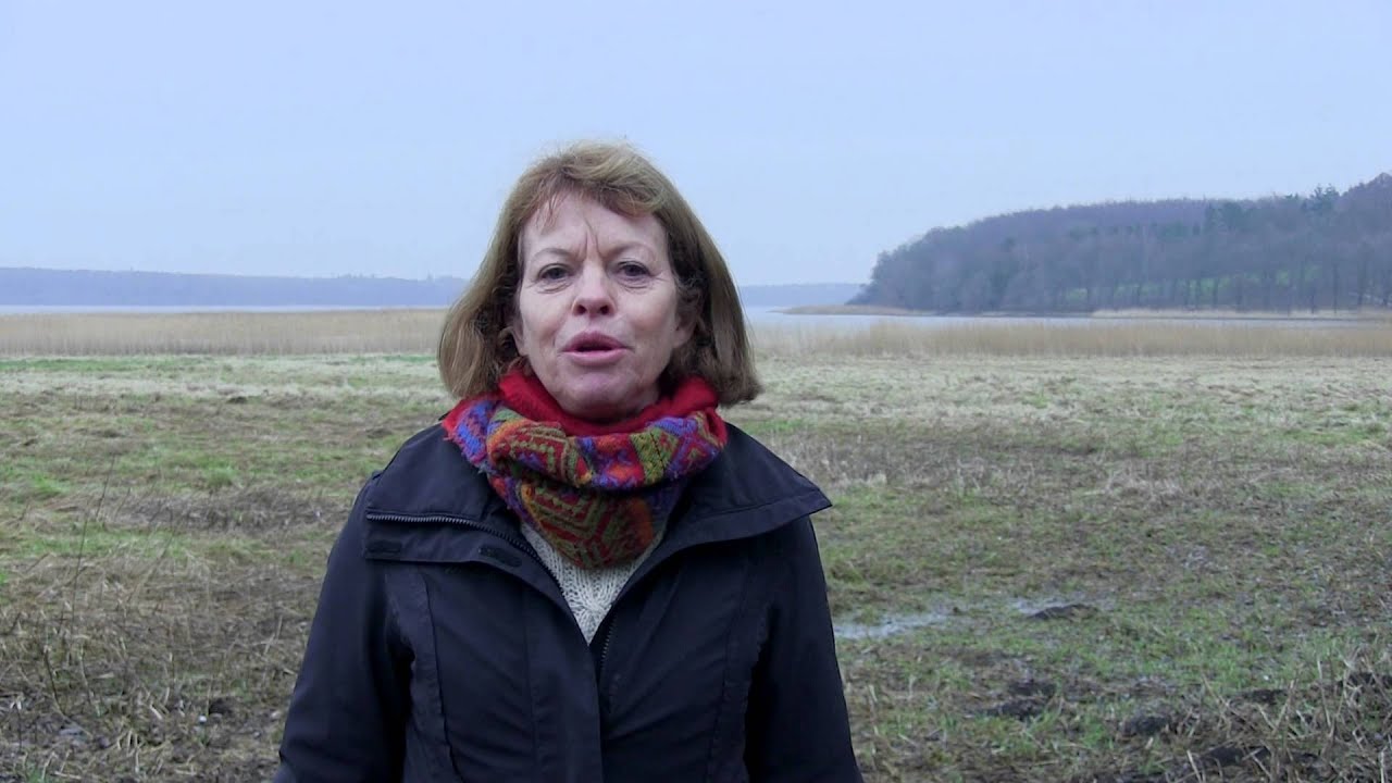 Nytårstale 2014: Ella Maria Bisschop-Larsen, præsident i Danmarks ...