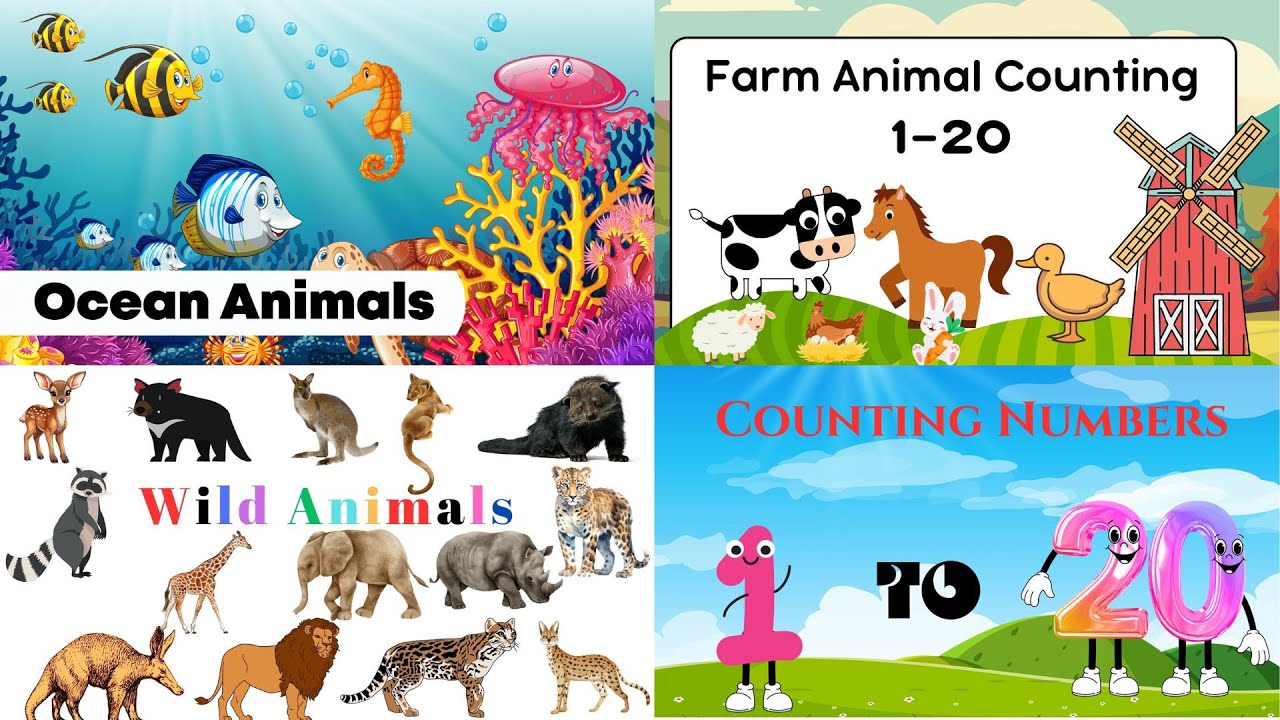 Ocean Animals + Farm Animals Counting + Wild Animals + Counting Numbers ...