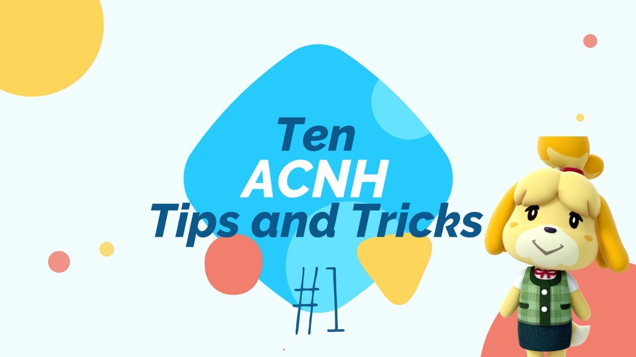 ACNH tips for everyone from beginner to expert | Things Animal Crossing ...