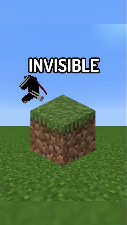 All 4 SECRET Invisible Blocks in Vanilla Minecraft - YouTube