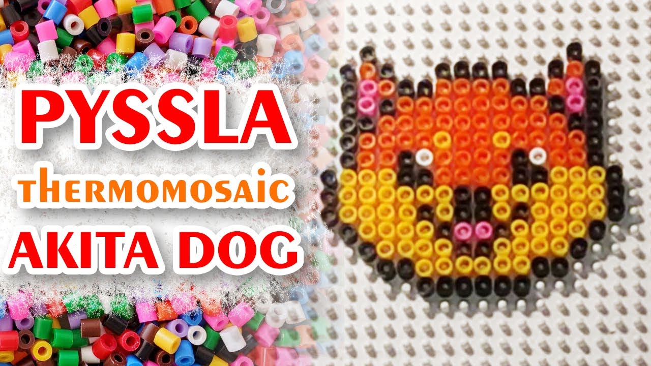 How to make thermomosaic AKITA DOG. Pyssla art - YouTube