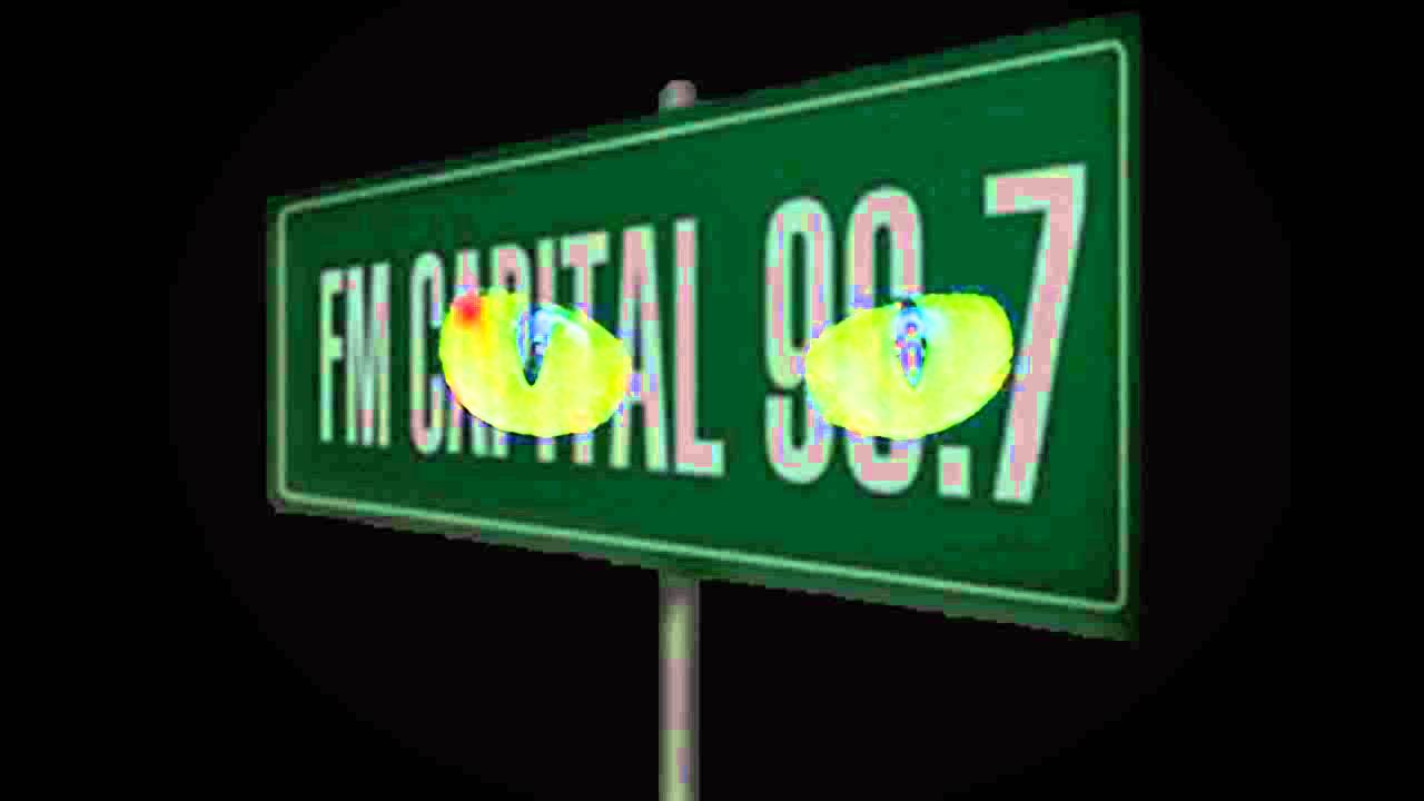 INSTINTO PARANORMAL: LO QUE LOS ANIMALES PUEDEN VER FM00000 - YouTube