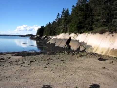 Mistake Island - YouTube