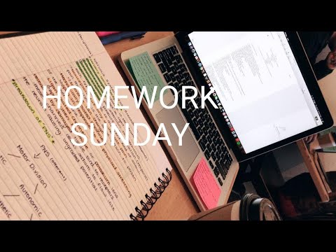 HOMEWORK SUNDAY / 스터디 윗미/ - YouTube