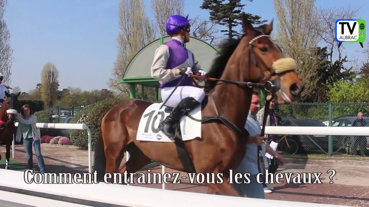 #TVAubrac - Hippodrome Auteuil : Rencontre avec Jacques Ricou - YouTube