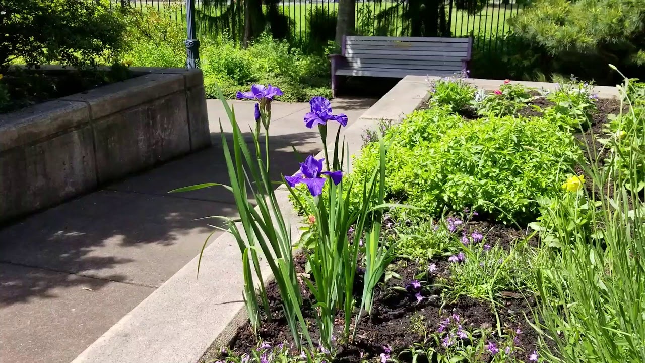 Virtual Tour: The Portland Memory Garden - YouTube