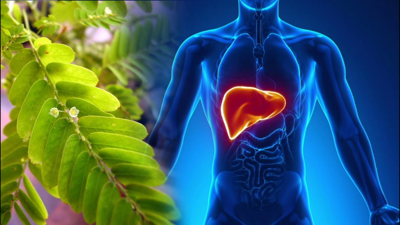 Liver Formula NEW IMPROVED- why your liver is SO important - YouTube