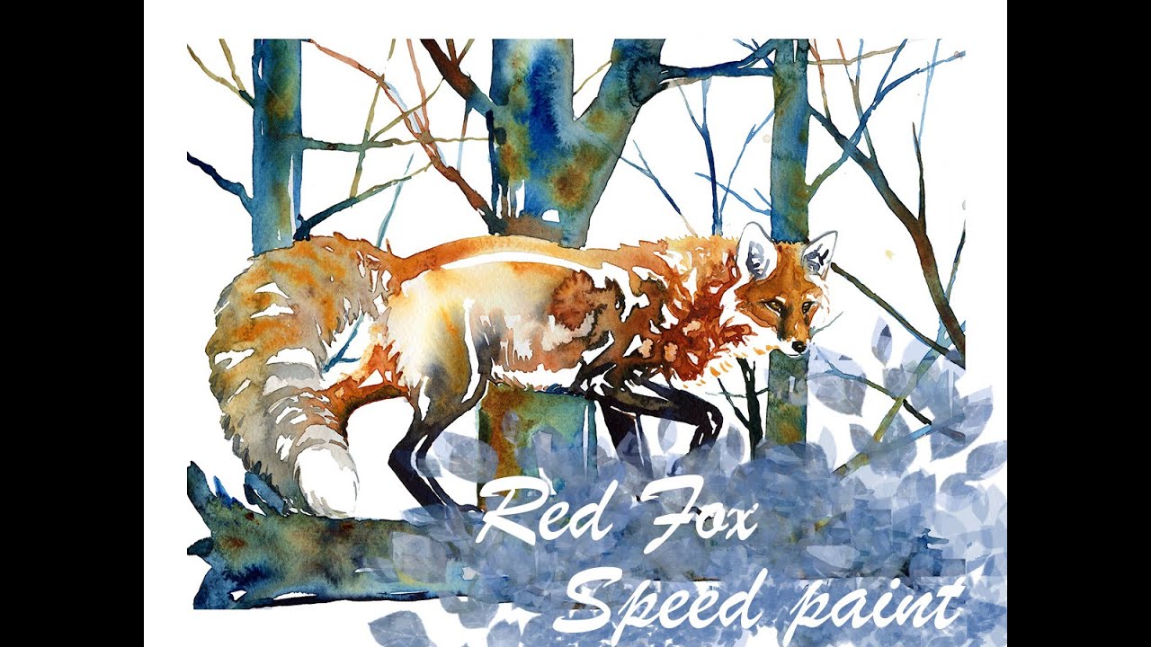 Red Fox Watercolor Speedpaint - YouTube
