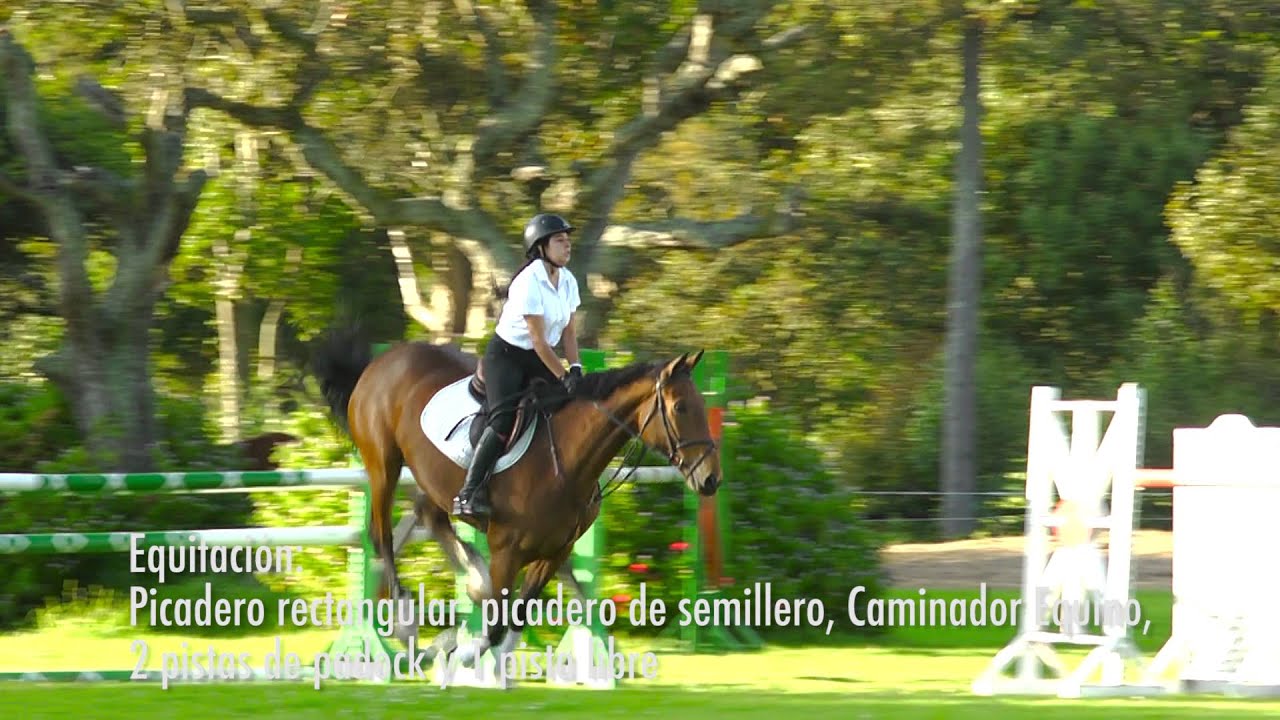 Club Campestre Los Arrayanes - YouTube