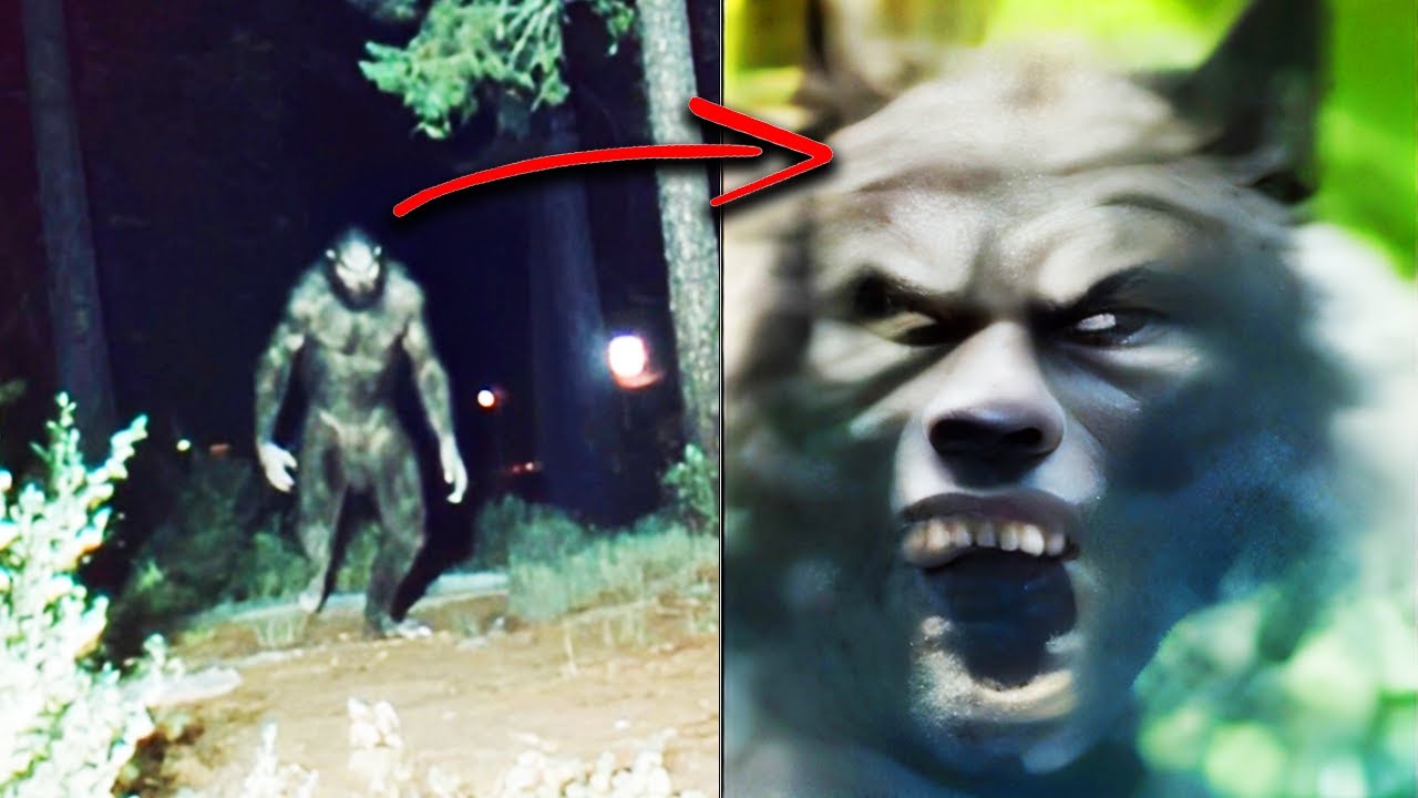 Michigan Dogman Is Terrifying Farmers - CRYPTID SIGHTINGS STORY - YouTube