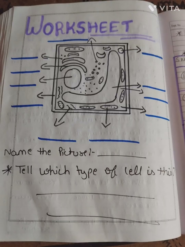 science lesson plan/cell structure and function/class 7 - YouTube
