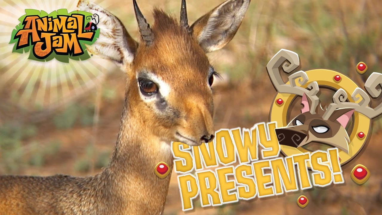 Snowyclaw in Tanzania - Adorable Smol Antelopes! - YouTube