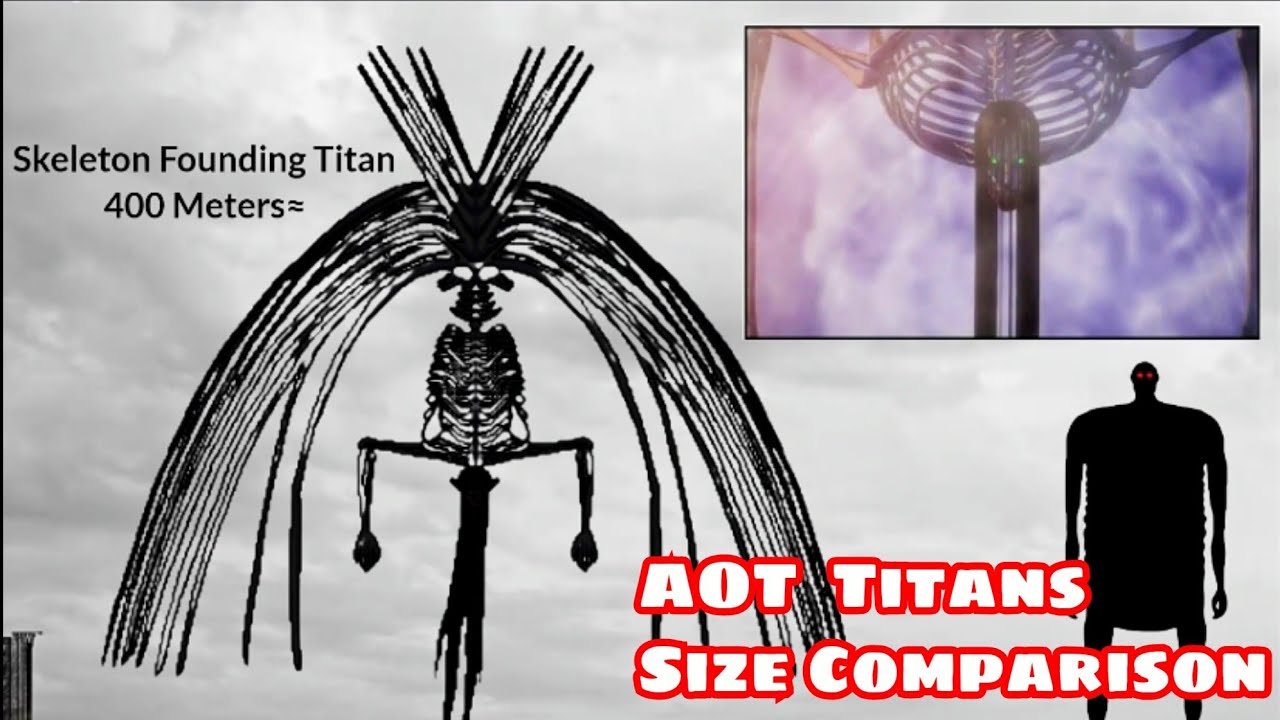 Attack On Titan | Shingeki No Kyojin All Titans Size Comparison | Anime ...