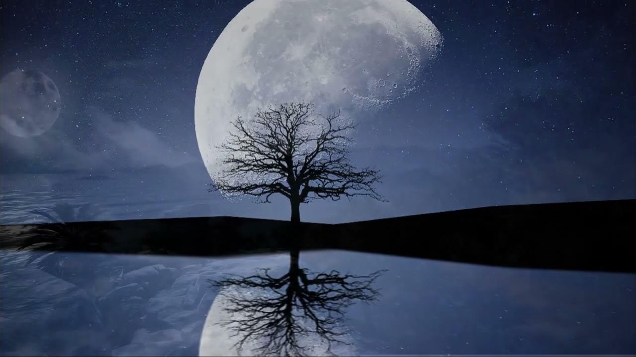 [Relaxing meditation music] - Stress relief music - Chakra meditation - Healing music - YouTube