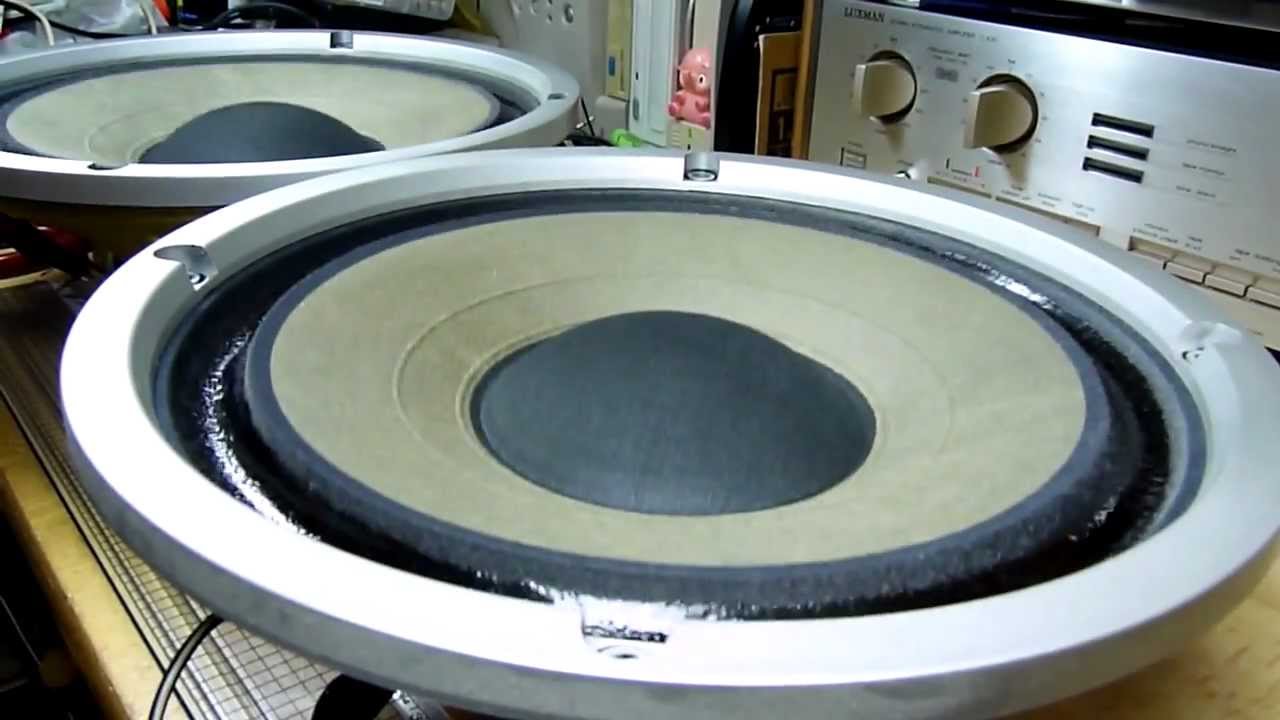 test Lo-D Speaker unit 2400581 25cm - YouTube
