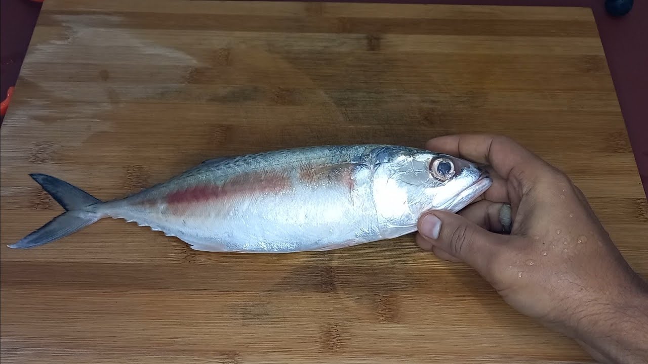 Mackerel | Ayla | Bangude Fish Cleaning for Cooking - YouTube