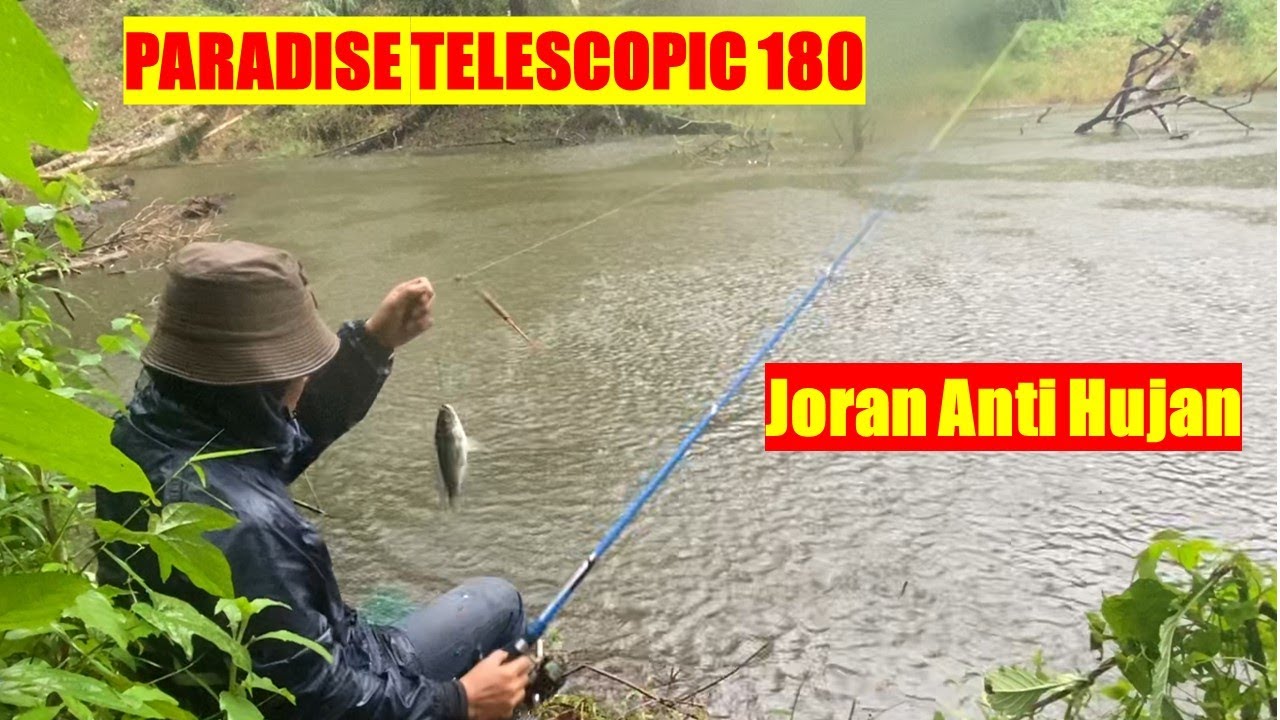 Joran Paradise Telescopic - YouTube
