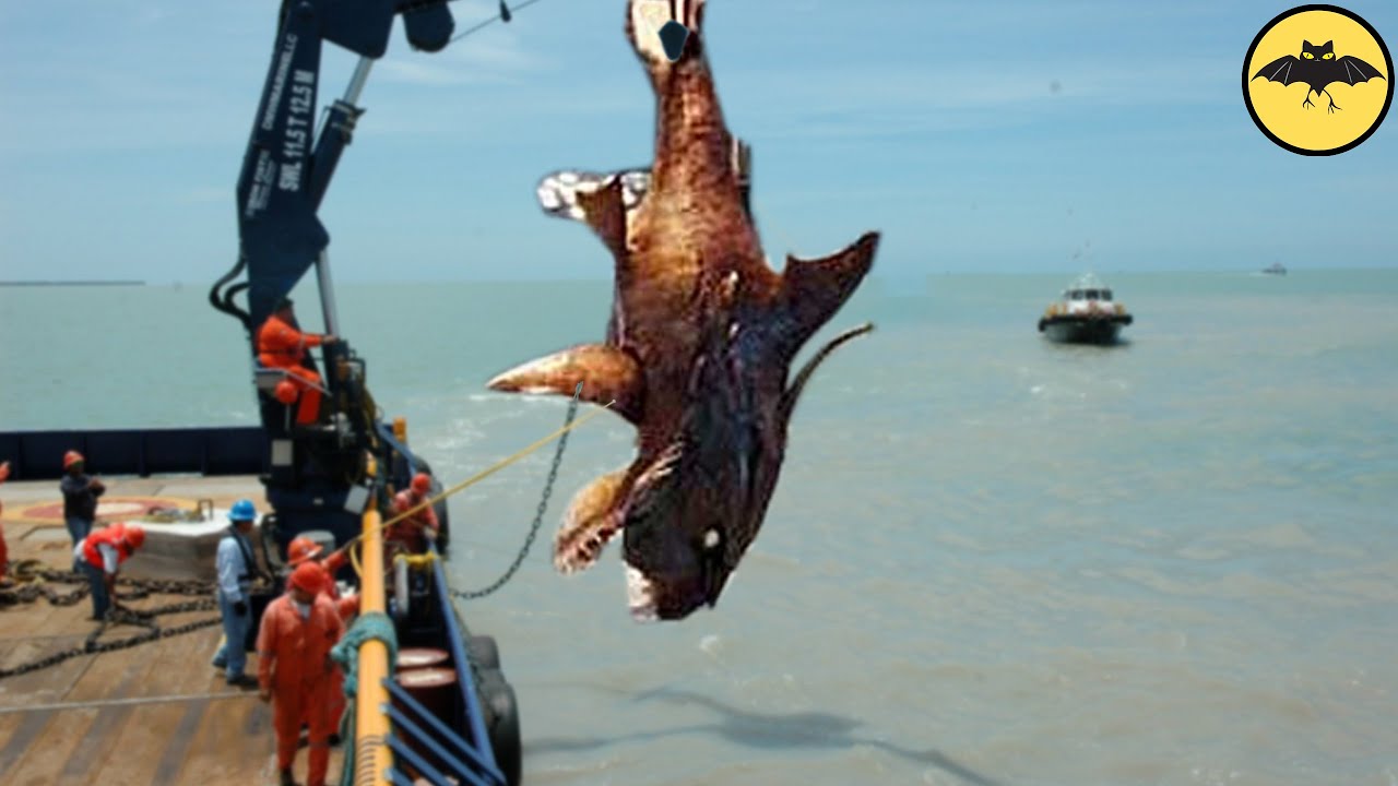 Top 5 Cosas Más Extrañas Encontradas en el Fondo del Océano. - YouTube