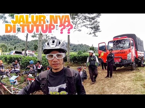 Jalur ke Curug mandala ditutup⛔ || lewat jalur lain || track kebun teh ...
