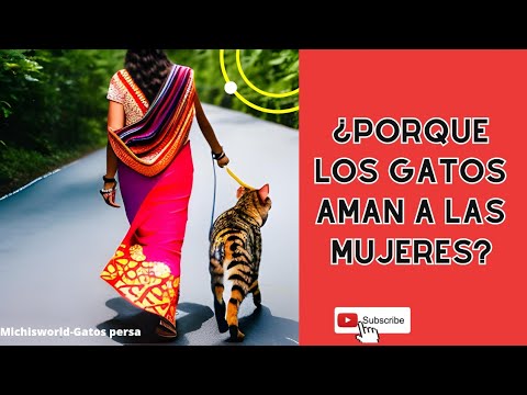 porque los gatos las aman: Gatos persa, gatos siamés, gato egipcio ...