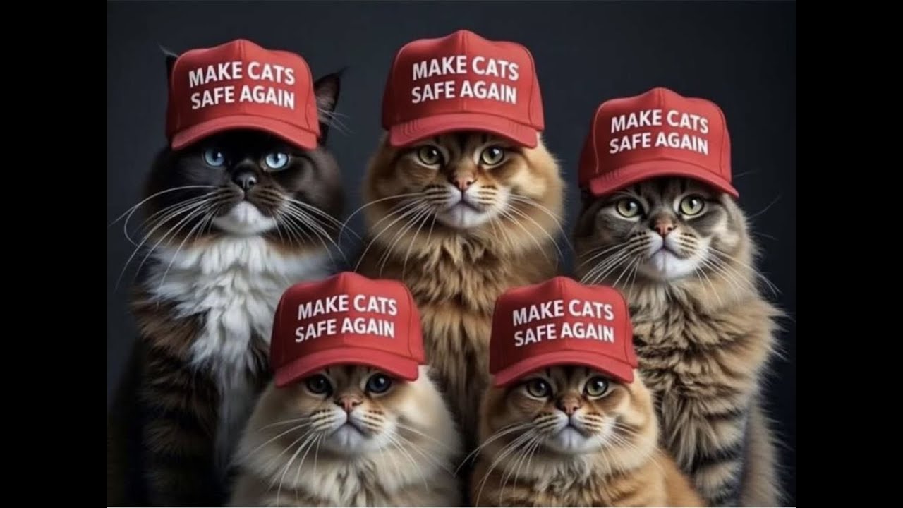 TRUMP said WHAT!!!! Cats, Dogs, and Conspiracies music video - YouTube