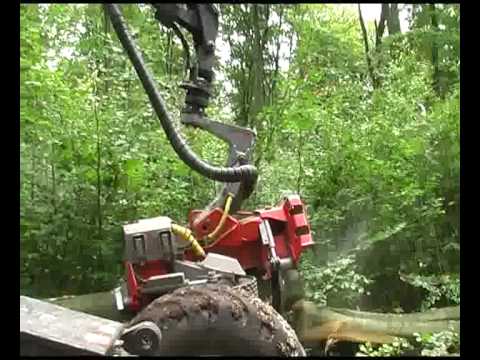 TimberPro im Laubholz - TimberPro in Hardwood - YouTube