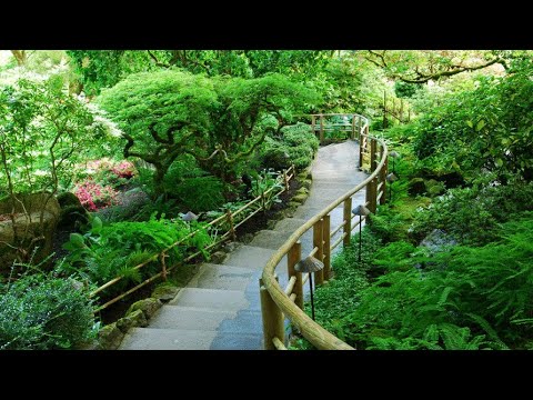 Очень красивый Нашид на русском языке Аллах сказал в Коране - Nasheed beautiful