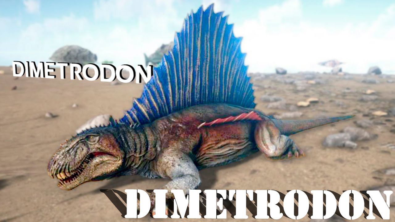 Amaestrando al Dimetrodon ¡EL LAGARTO! || ARK: Survival Evolved - YouTube