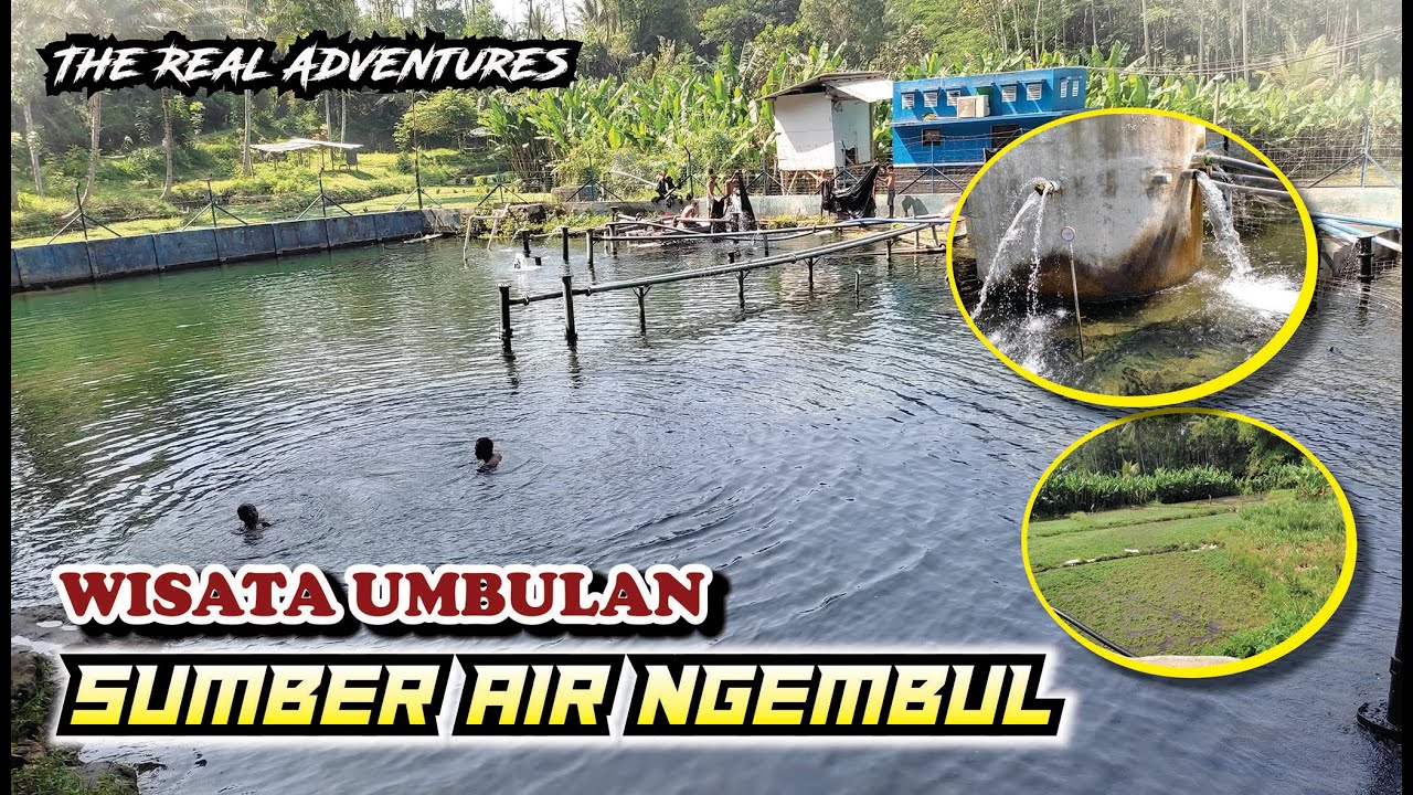 Wisata Umbulan Sumber Mata Air Ngembul Randugading Tajinan || Explore ...