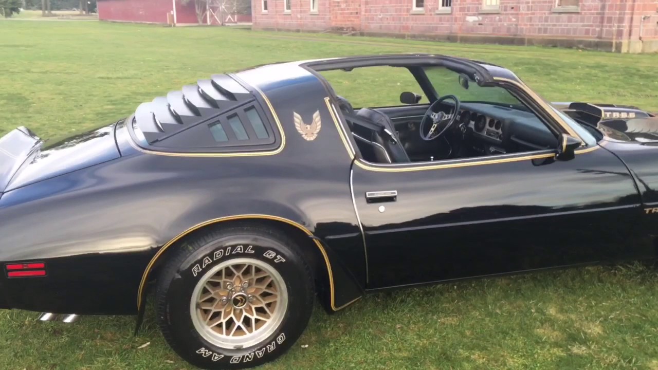 1979 Pontiac Trans Am Y84 Special Edition Worldwide eBay Auction - YouTube