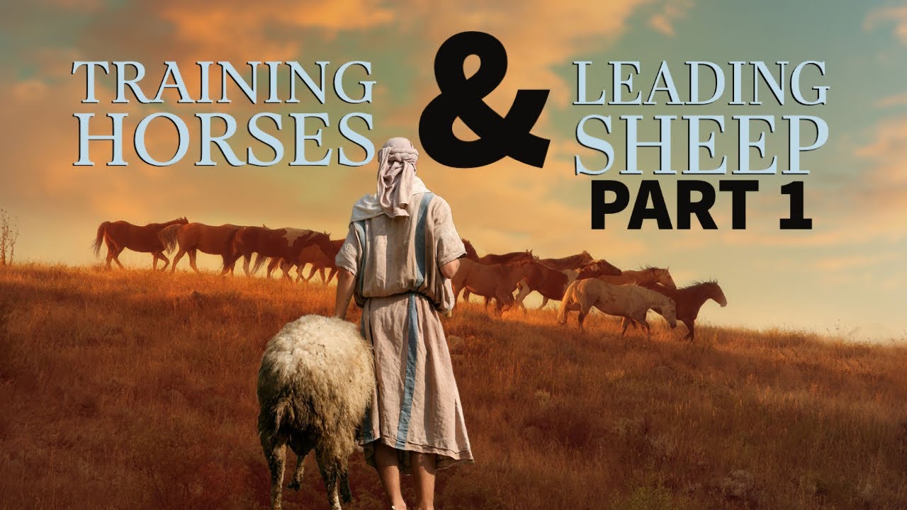Training Horses and Leading Sheep: Part 1- Pastor John Muratori ...