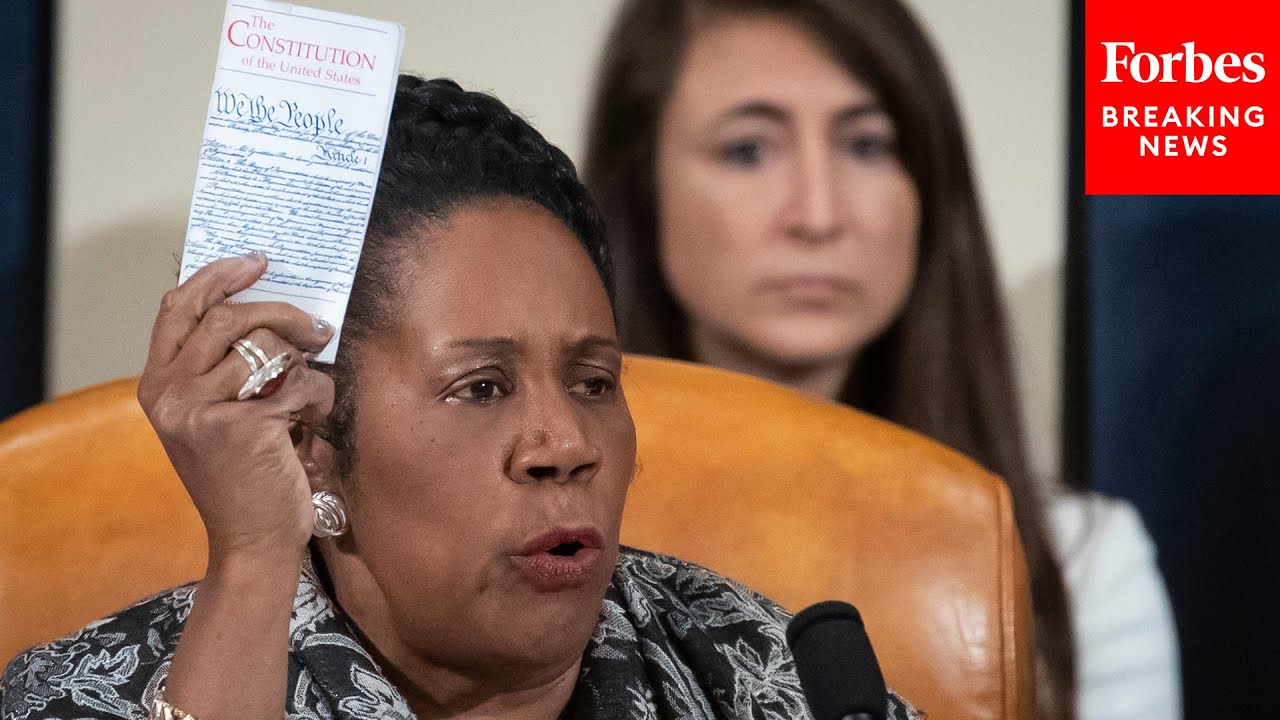 'Seems Clearly A Constitutional Violation': Jackson Lee Promotes ...