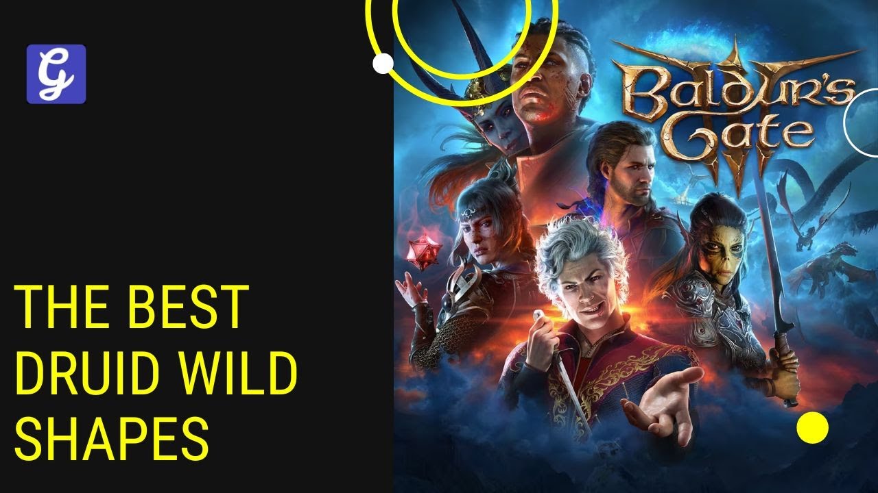 The Best Druid Wild Shapes Forms Baldur's Gate 3 - YouTube