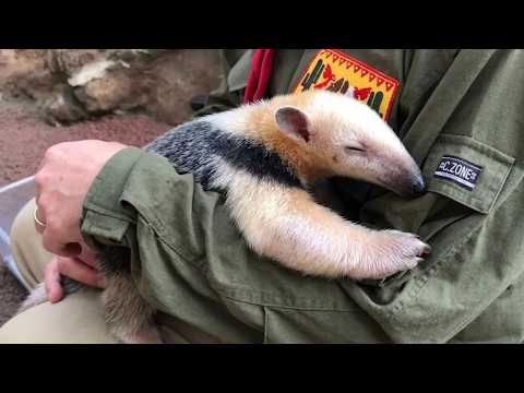 When Animals Realize They’re Loved…❤️
