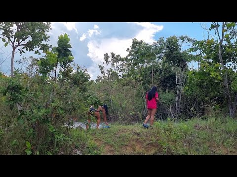 Indígenas do século 21 👏✅ \