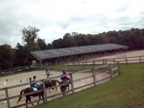 a cheval galopeur sauteur - YouTube