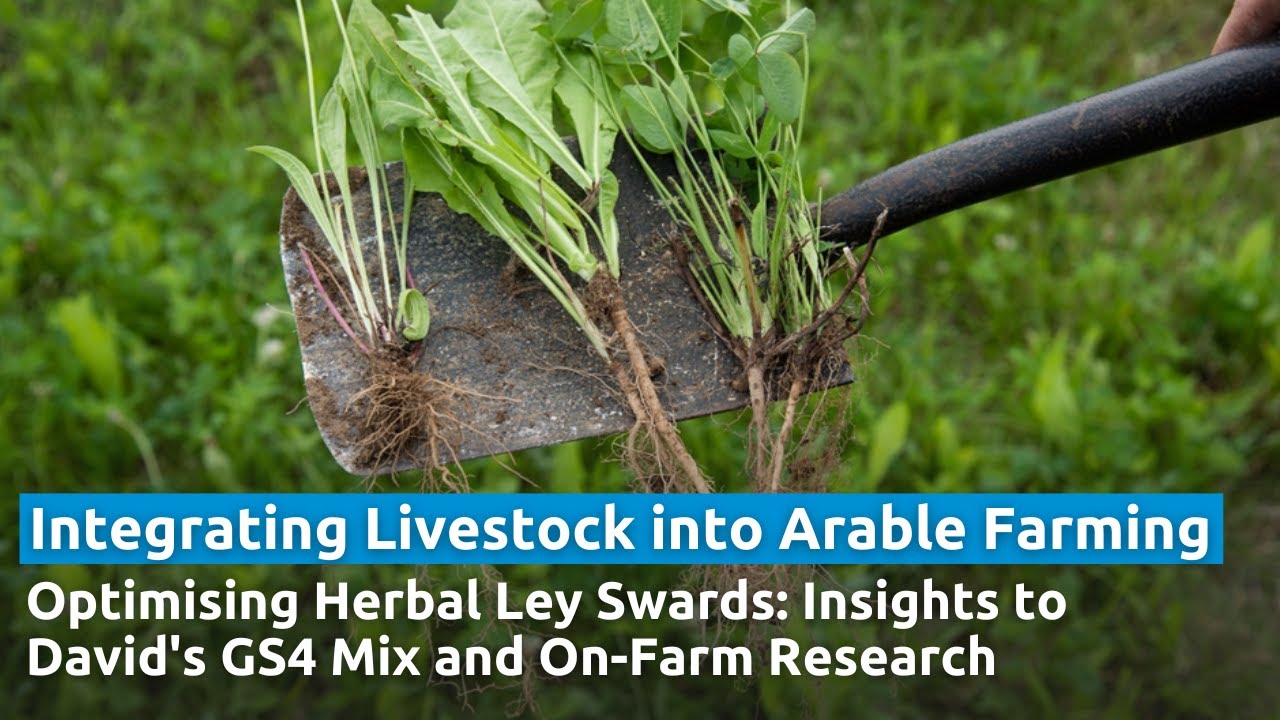 Optimising Herbal Ley Swards: Insights to David's GS4 Mix and On-Farm ...
