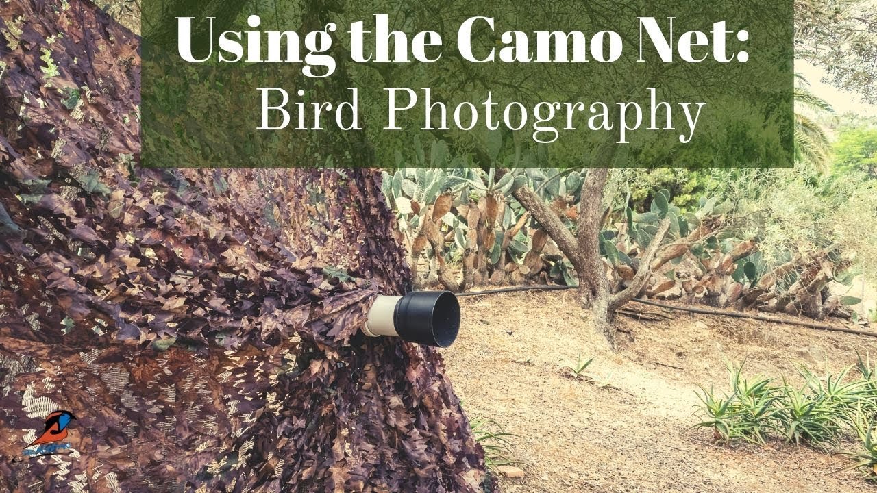 Camo Net for Bird Photography | Competition Winner Announcement by ...