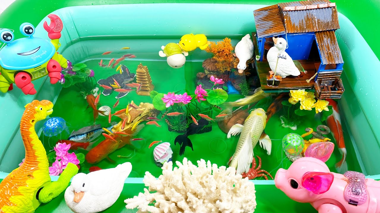 Amazing Put fish in the float,sharks,dolphins,sea creatures,Slipp vakre ...