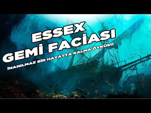 ESSEX GEMİ FACİASI l İnanılmaz Bir Hayatta Kalma Öyküsü